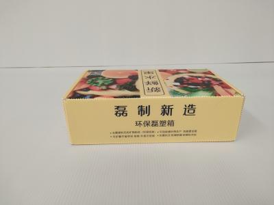 China Custom 2-5mm Corrugated Plastic Foldable Boxes for Fruit Packaging for sale