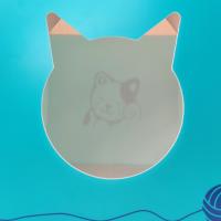 China Foldable Leiser Inorganic Corrugated Plastic Hollow Sheet 2-5mm Cat House Custom for sale