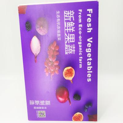 China 5mm Custom Corrugated Plastic Shipping Boxes Reusable 15 Times Frozen Storage for sale