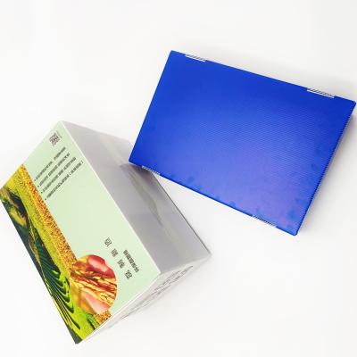 China 4.0mm Reusable Corrugated Moving Boxes for Food Packing Non Toxic PP Sheet for sale