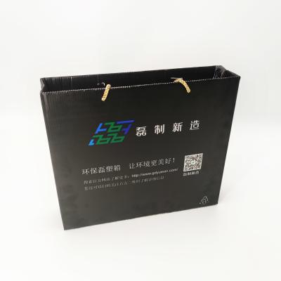 China Leiser Corrugated Biodegradable Packaging Bags 4C Printing for sale
