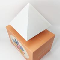China Custom Corrugated Plastic Carton 1200gsm Anti-Collision Friction Resistant PP Board for sale