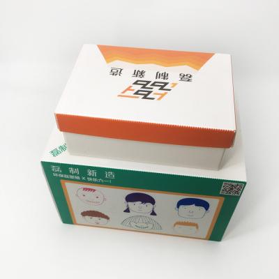 China 2.0mm Corrugated PP Shoe Box Moisture Resistant Stackable Storage Carton 2440x1220mm for sale