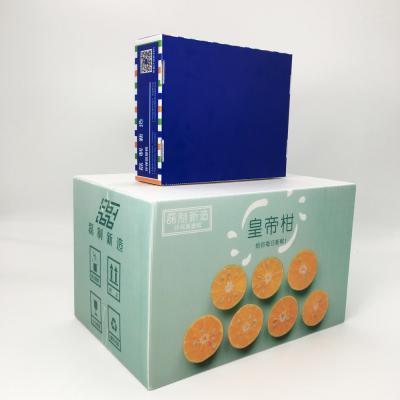 China Food Grade Corrugated Plastic Box 4mm Thickness Freshness Retain Agricultural Packaging for sale