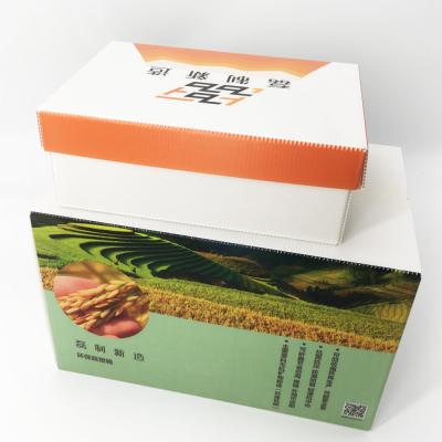 China Anti Virus Waterproof Corrugated Plastic Storage Boxes with Lid 5 Layers Stackable 3mm Thickness for sale