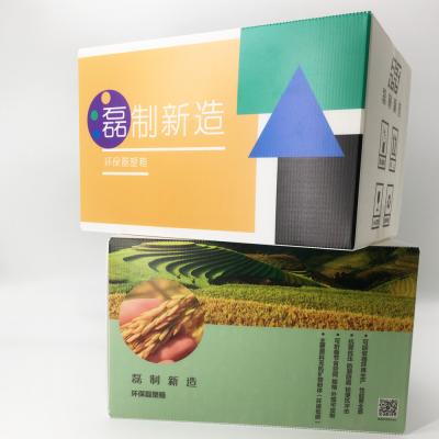 China 5.0mm Corrugated Plastic Storage Boxes Cold Adaption Pharmacy Packaging Carton for sale