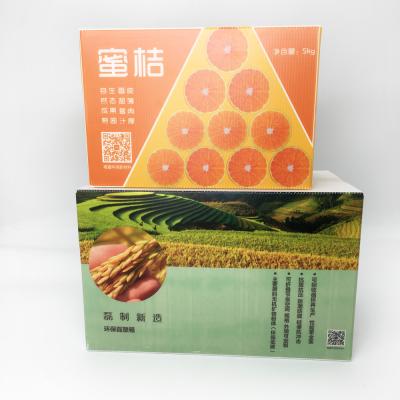 China Full Color Printed Corrugated PP Box 5mm Thickness Moisture Resistant Degradable Storage Carton for Farm for sale