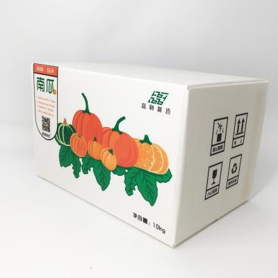 China 4.0mm 50kg Agricultural Pumpkin Transport Carton Eco-Friendly Freshness Box for sale