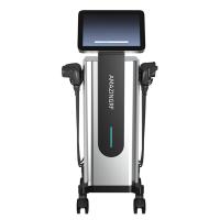 China Microcurrent RF Beauty Device 300W Anti Aging Skin Rejuvenation Equipment for sale