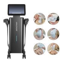 China Commercial All In One Facial Machine , RF / EMS Body Slimming Machine for sale