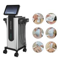 China 300W RF Microneedling Machine 6 In 1 Multifunctional Skin Care Machine for sale