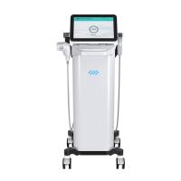 China 50HZ 60HZ Skin Rejuvenation Machine for Wrinkle Erasing / Dermal Renewal for sale
