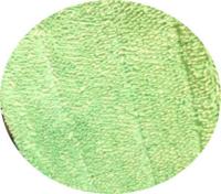 China Green twisted 13*47 fold stitch microfiber wet cleaning mop pads head for sale