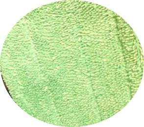 China Green twisted 13*47 fold stitch microfiber wet cleaning mop pads head for sale