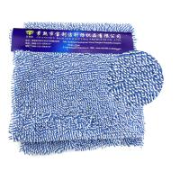 China 550gsm Chenille OEM Polyester Microfiber Fabric for sale