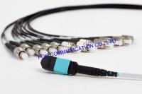 China 12 Core MPO to FC OM3 50/125um Fiber Optic Breakout Patch Cord 10G LSZH for sale