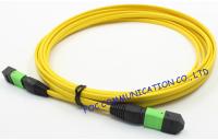 China Ribbon Fan Out MPO Multimode Fiber Optic Patch Cord Assembly 50/125 for sale