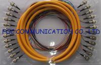 China 0.9mm Distribution Fan Out Fiber Optic Patch Cord 12Core Telecom Datacom for sale