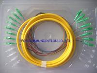 China 8 Core Single Mode Bundle Fan Out Fiber Optic Pigtail LC APC 0.9mm High Stability for sale
