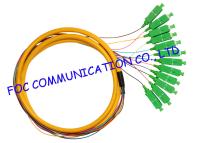 China 12 Core SC APC Single Mode Distribution Fan Out Fiber Optic Pigtail for FTTX 1310nm for sale