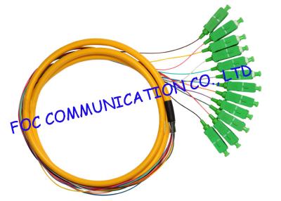 China 12 Core SC APC Single Mode Distribution Fan Out Fiber Optic Pigtail for FTTX 1310nm for sale