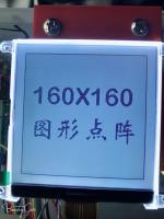 China Transflective Positive Monochrome LCD Display 160×160 Dots 300cd/m² 6 O'Clock View 80×72.5mm for sale