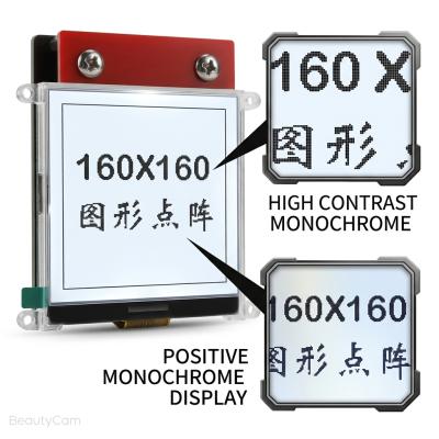 China Transflective Positive Monochrome LCD Display 160×160 Dots 300cd/m² 6 O'Clock View 80×72.5mm for sale