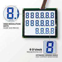 China 6 O'clock Monochrome LCD Panel 160x128 Dot Matrix Display with 5V Power and Extended Temperature Range for sale