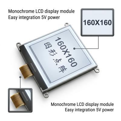 China 5V Monochrome LCD Display Screen 20x2 Character 160×160 Dots for Industrial Applications -20℃ to +70℃ Operation for sale