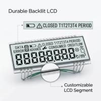 China White Backlight HTN Segmented LCD Display 61x29mm 28PIN for Energy Meters with -30°C to +70°C Operating Range for sale