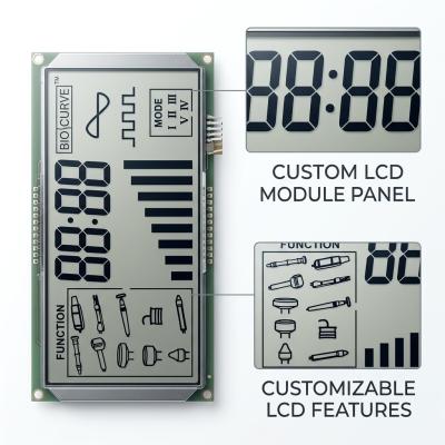 China Custom 7 Segment LCD Display Panel 83x76mm FSTN Module with 4.3V Operation and White LED Backlight for sale