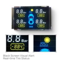 China VA Segmented LCD Display Black Screen Module 79x47x2mm for Car Tire Pressure Systems with 1/8 Duty Drive for sale