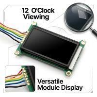 China HT1621 Driver IC VA LCD Display Module 63x45mm 5V with White Backlight and 12 O'Clock Viewing Angle for sale