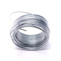 China Z90 Hot Dipped Galvanized Iron Wire BWG34 2mm for sale