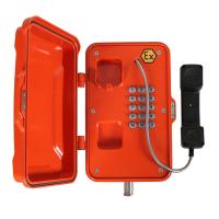 China Wall / Pillar Mounting Explosion Proof Telephone for sale