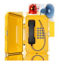 China Analog / VoIP Industrial Weatherproof Telephone With Wall / Pillar Mounting for sale
