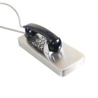 China Tactile Keypad Vandal Resistant Telephone ​​​​​​​​​​​​​​GSM Metallic IP Jail IP55 for sale