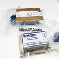 China Original Becker 90134900007 Wn124-162 Carbon Vanes For Becker And Vst Eve-Tr-25 Pump for sale