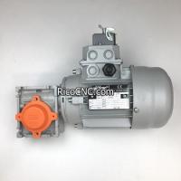 China 2-082-01-0990 Glue AC Driver Motor Reducer 2082010990 for Homag Edge Banding NKL210 KAL230 for sale