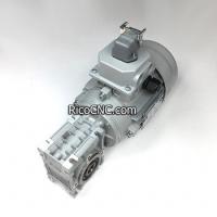 China 2-082-01-0990 Glue AC Driver Motor Reducer 2082010990 for Homag Edge Banding NKL210 KAL230 for sale
