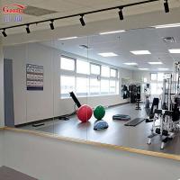China Modern Home Decor Large Waterproof Gym Wall Mirrors with Stylish Glass Panels Design for sale