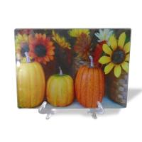 China Customer Size Tempered Glass Kitchen Cutting Board Genuine Sublimation White Utility for sale
