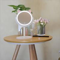 China Get the Perfect Lighting for Your Makeup with Our Advanced Makeup Mirror for sale