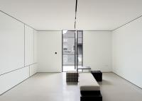 China SLEEK 146 series minimalist narrow frame pivot door for sale
