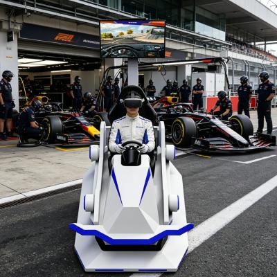 China 9D Metal VR Racing Simulator Indoor Car Karting Game Machine with VR Driving Experience for Airport and Shopping Mall Occasions for sale