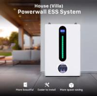 China 10kW Wall Mount LiFePO4 Battery 48V 200Ah Solar Storage with BMS 51.2V 200A for sale