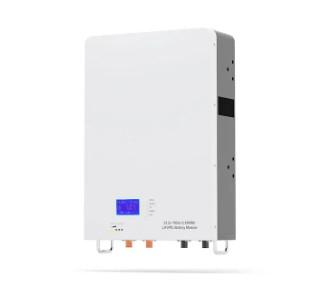 China Wall Mounted LiFePO4 Battery 48V 100Ah 5kWh Solar Energy Storage with Smart BMS 6000 Cycles for sale