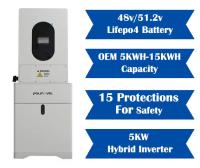 China LiFePO4 48V 300Ah Battery 51.2V 100Ah 200Ah 100A BMS for Solar Inverter for sale