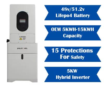 China LiFePO4 48V 300Ah Battery 51.2V 100Ah 200Ah 100A BMS for Solar Inverter for sale