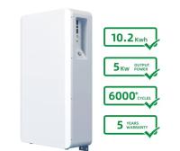 China 9kWh 51.2V Wall Mounted Lithium Iron Phosphate Battery 100Ah for Solar Energy Storage for sale